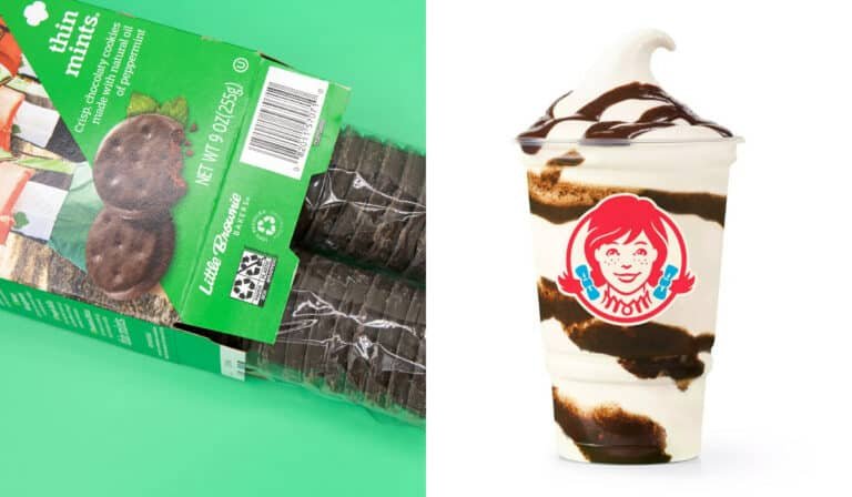 Wendy's Officially Announces the Girl Scout Thin Mint Frosty, Available ...